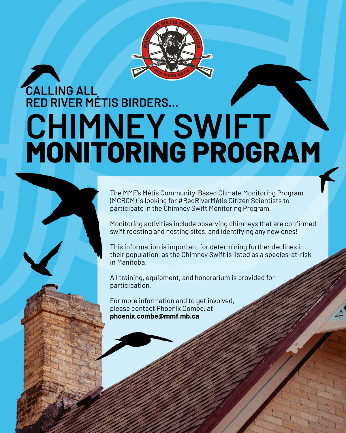 Chimney Swift Monitoring Program | Manitoba Métis Federation