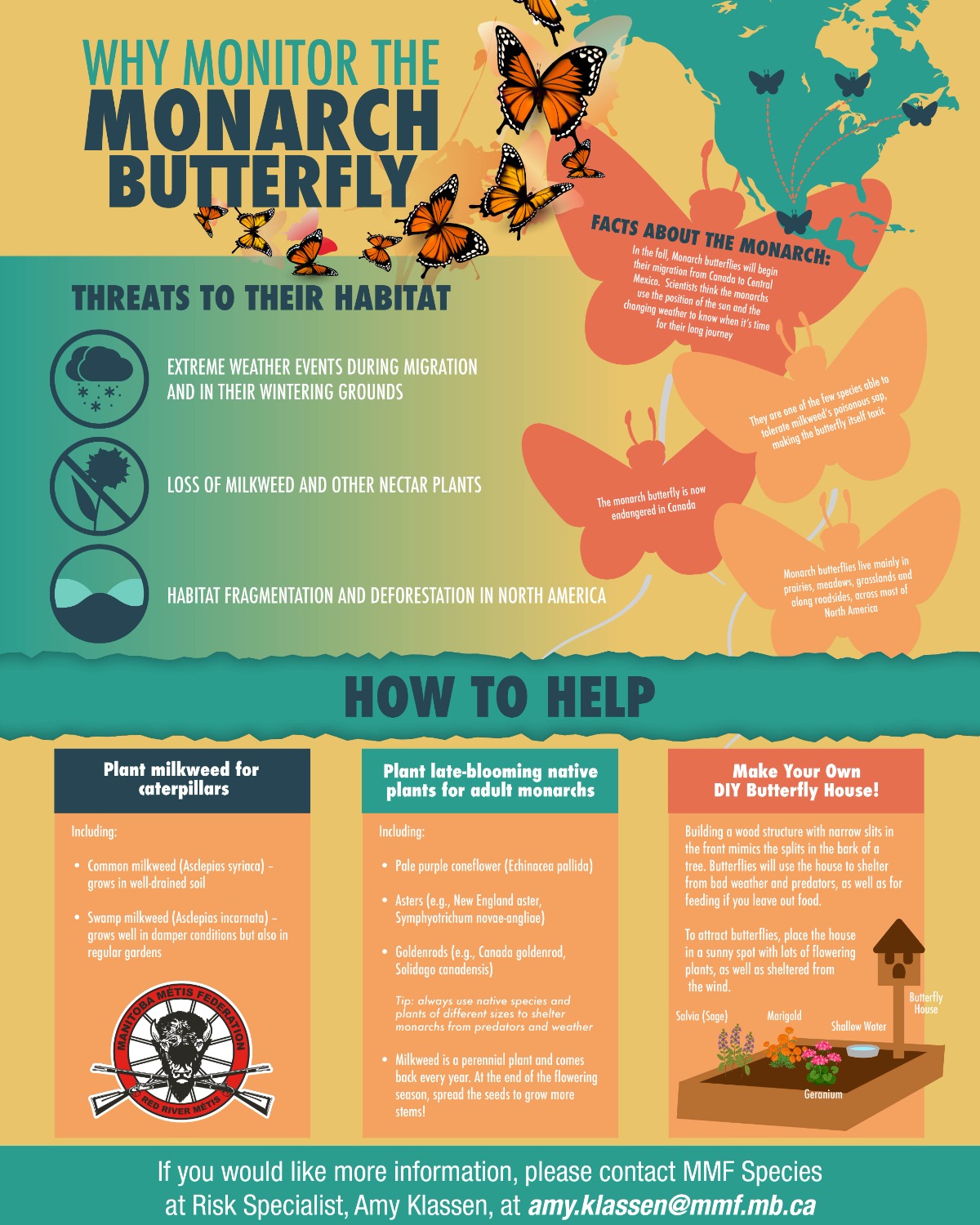 Why Monitor the Monarch Butterfly | Manitoba Métis Federation