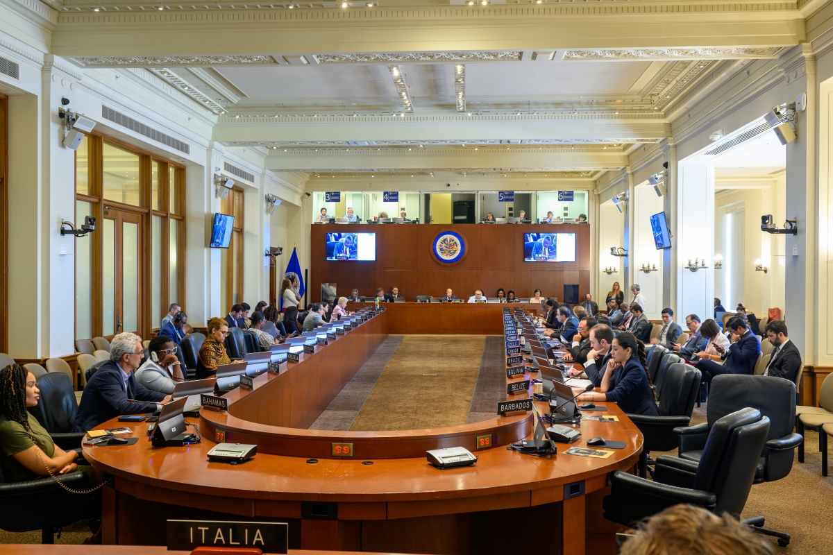 Ambassador Chartier Attends the VI Inter-American Week for Indigenous ...