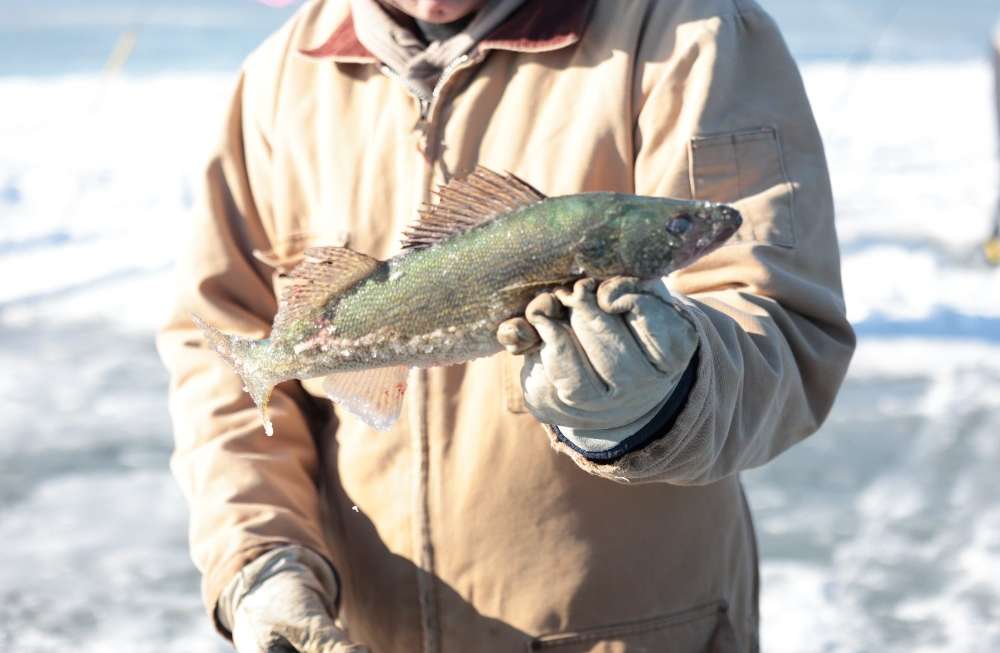 Reeling in tradition: How the MMF supports Red River Métis commercial ...