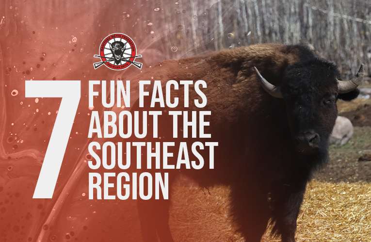 7 fun facts about the Southeast Region | Manitoba Métis Federation
